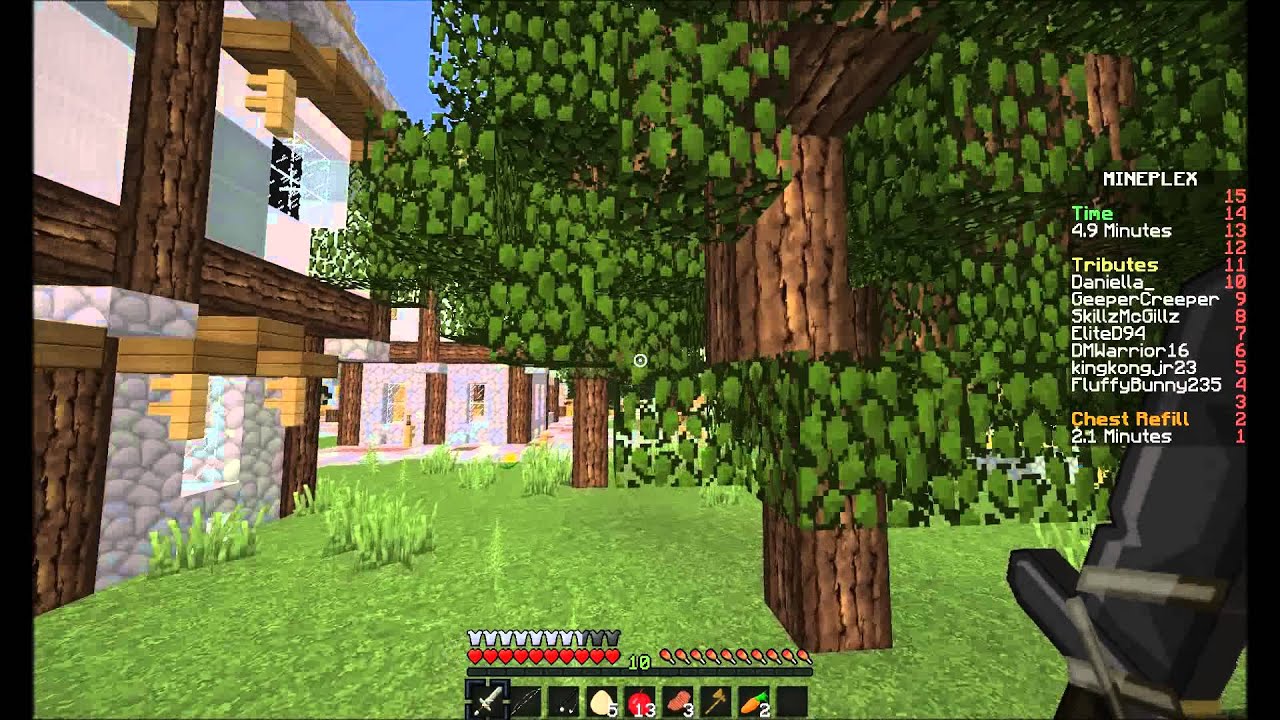 Mineplex Hunger Games - SO MANY KILLS! - YouTube