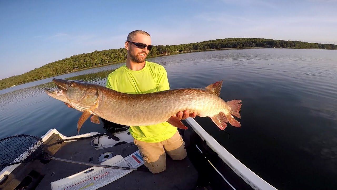 2020 Wisconsin Musky Fishing - YouTube