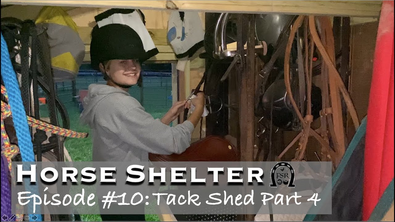 Building a Horse Shelter - Episode #10: Tack Shed Part 4 - Tack Set Up ...