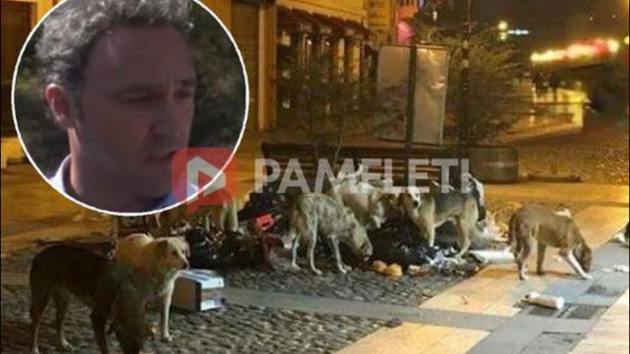 Hani i Hasan P*rdhës, një realitet funebër! - YouTube