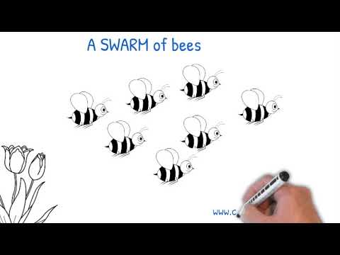 Collective Nouns: A Group of Bees - YouTube
