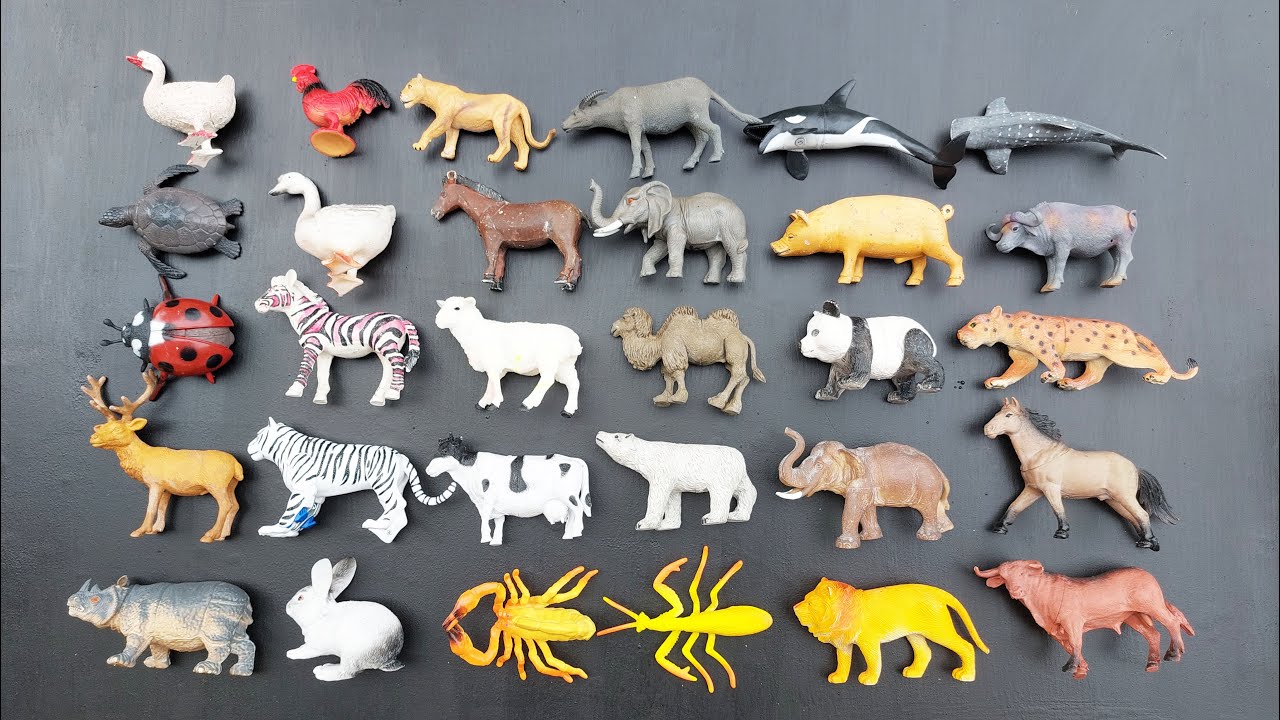 Suara Binatang sapi gajah kerbau kuda domba kambing unta rusa jerapah ...