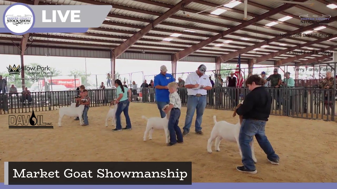 Breeding and Market Goat Show - YouTube