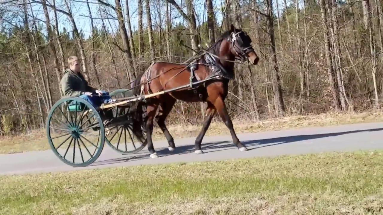 Morgan Cross Driving - YouTube