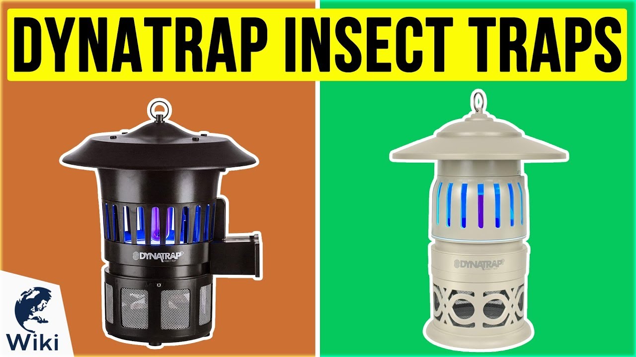 10 Best Dynatrap Insect Traps 2020 - YouTube