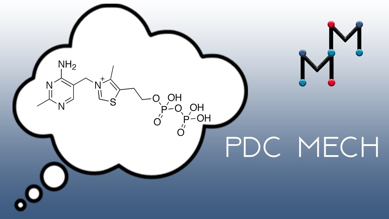 Pyruvate Dehydrogenase Mechanism: The Chemistry of TPP - YouTube