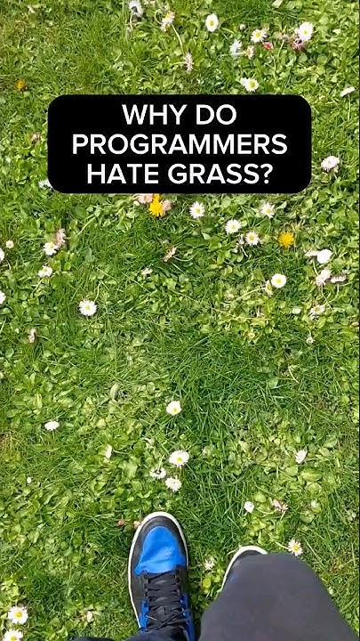 WHY DO PROGRAMMERS HATE GRASS? #joke #humor #programming #coding #bugs - YouTube
