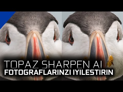 Fotoğraflarınızı AI Teknolojisi ile netleştirin ve yenileyin !