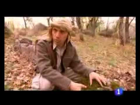 behind de musgo (remix) - YouTube
