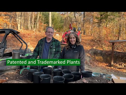 Patented and Trademarked Plants - YouTube