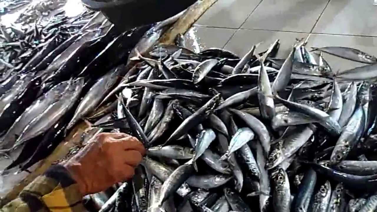 Zamboanga City Fish Market - YouTube