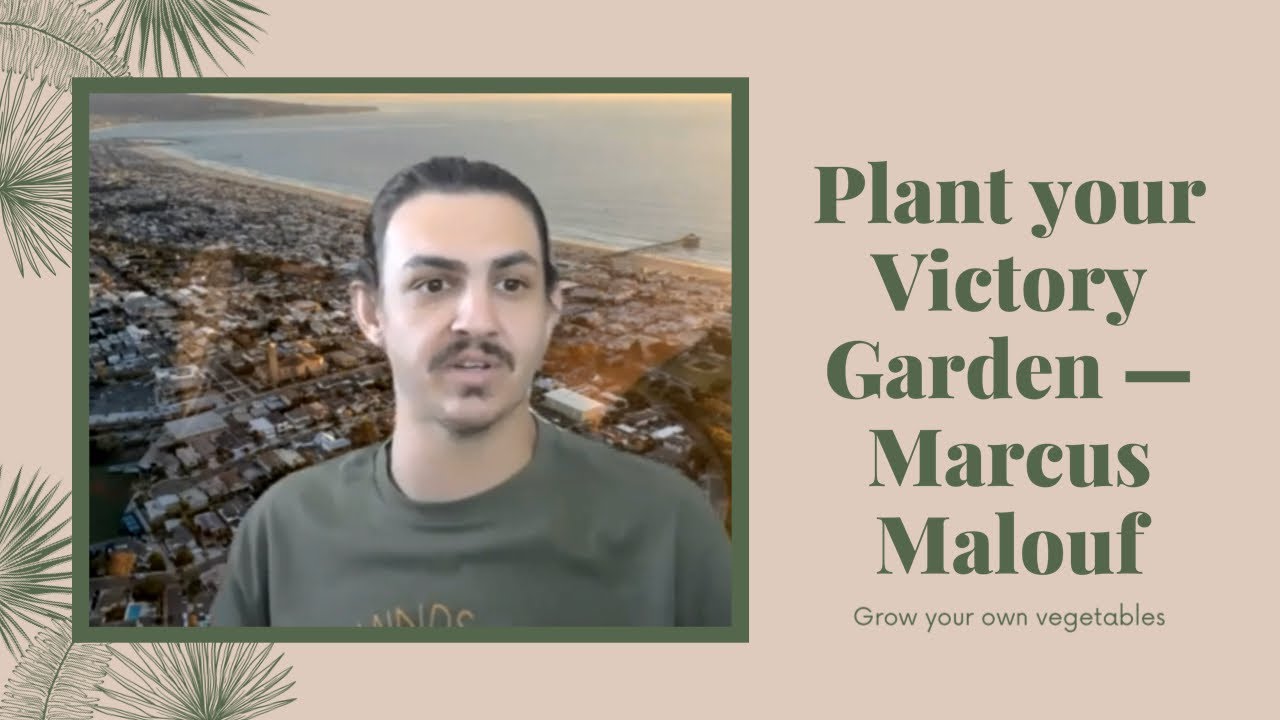 Plant your own victory garden with Marcus Malouf - YouTube