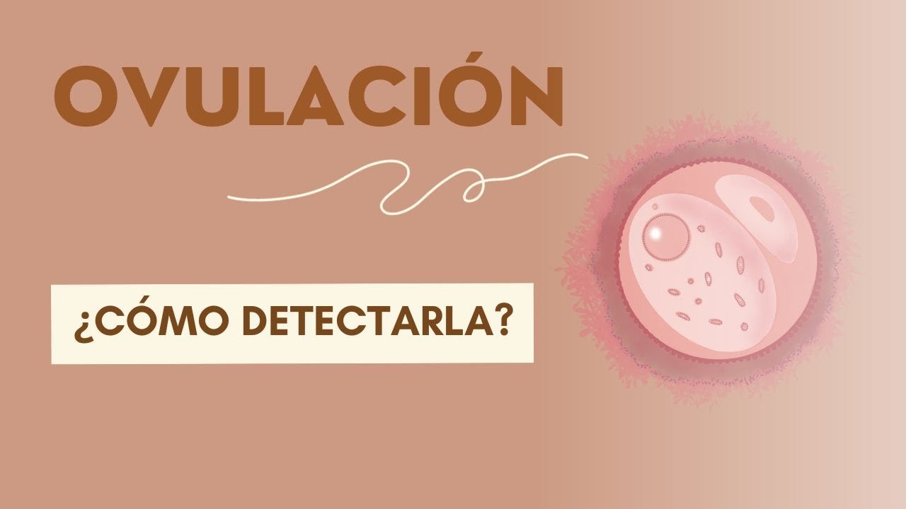 👩🏻‍⚕️¿Cómo saber si ESTOY OVULANDO?🤔 Estas SON LAS SEÑALES👌🏼 - YouTube