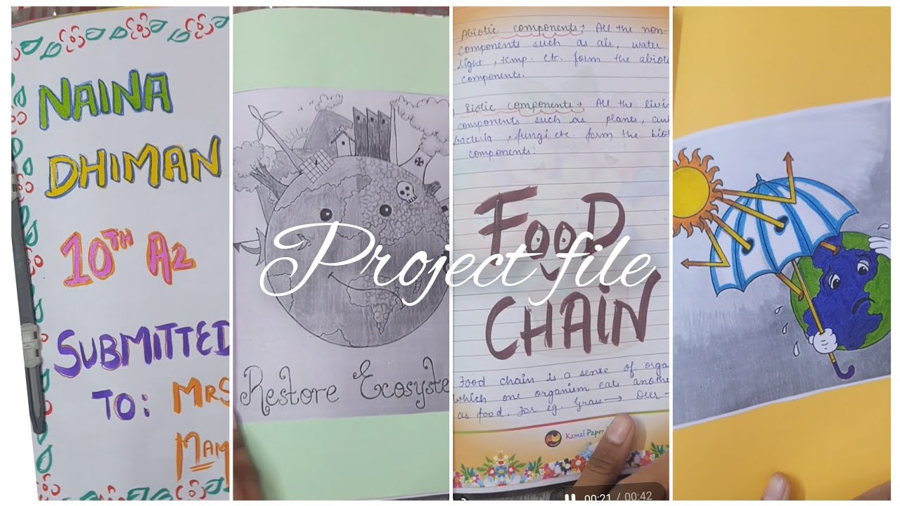 Project file on Our Environment Class 10th 🥰 | Naina Dhiman Vlogs - YouTube