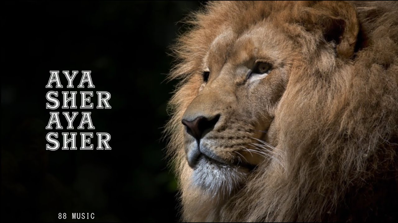 Gully Boy - Sher Aaya Sher🔥 | DIVINE - YouTube