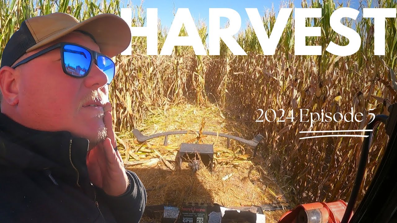 MOWING DOWN CORN & A DISAPOINTING COMBINE REPAIR - YouTube