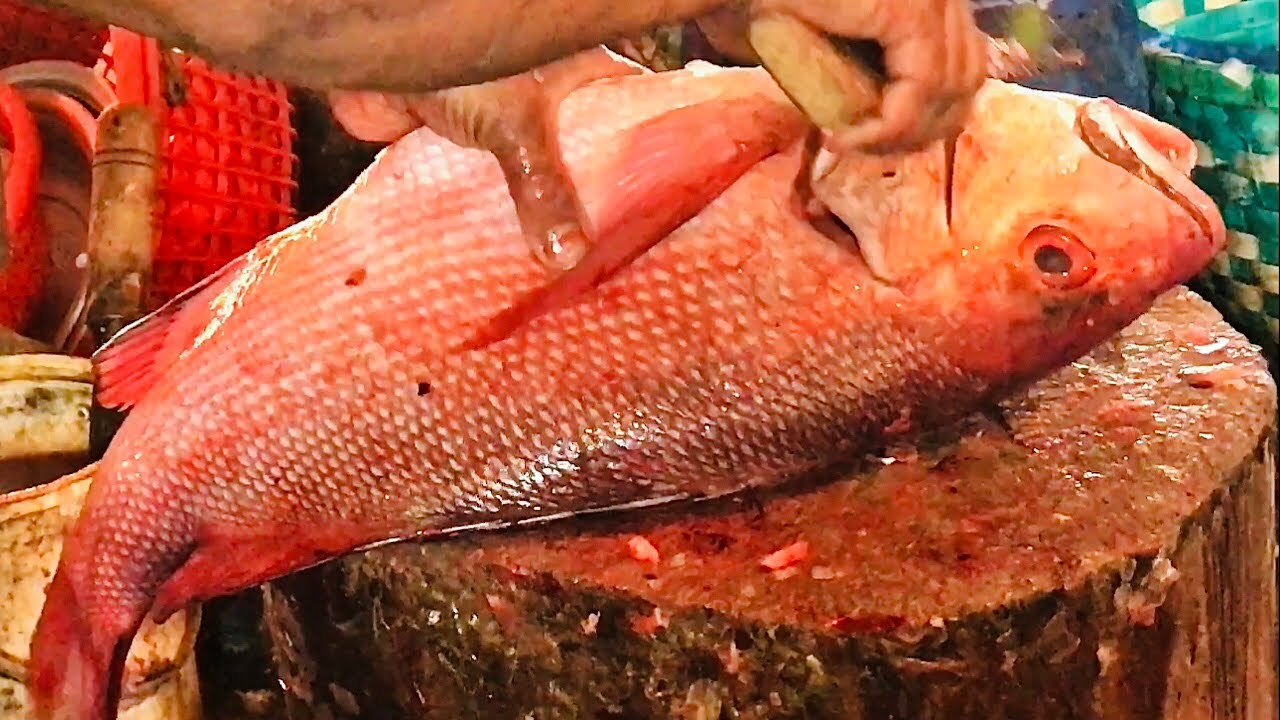 It’s Amazing Red Snapper Fish | Sea Red Coral Fish Cutting Skills ...