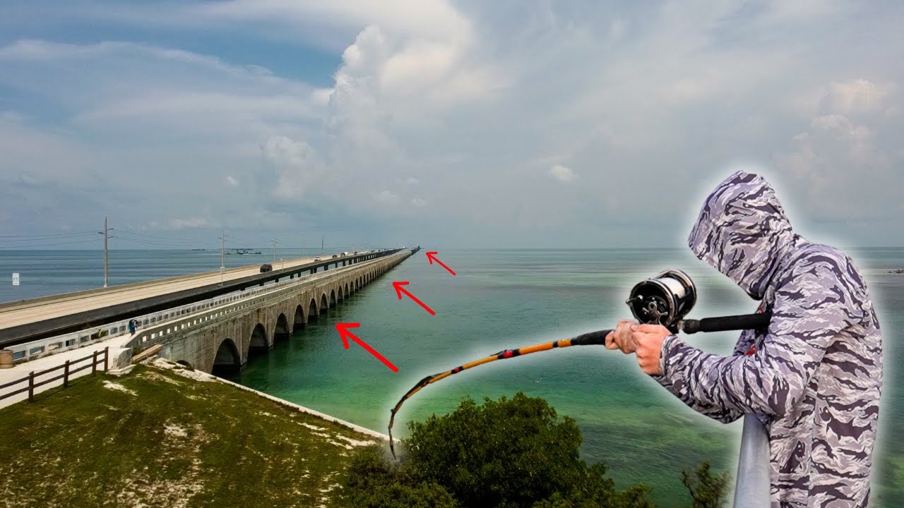 Florida Keys Bridge Fishing Adventure: Using Big Bait to Catch Huge ...