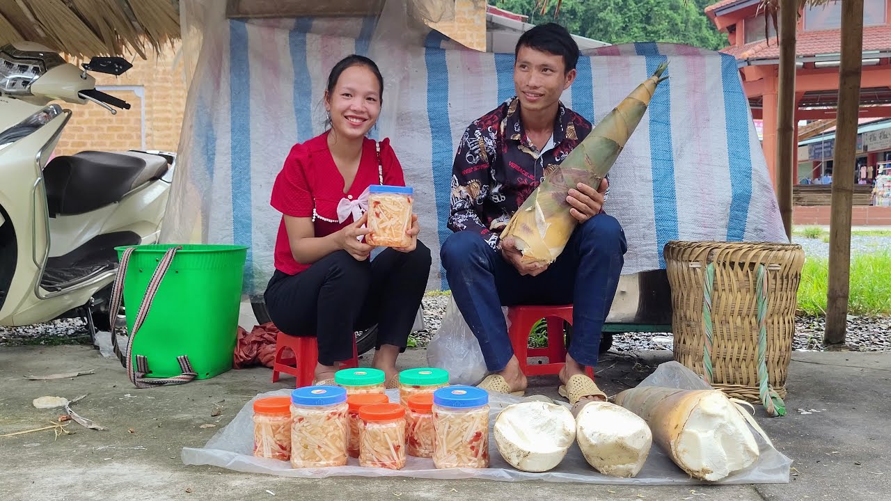 Harvest bamboo shoots to make chili bamboo shoots to bring to the ...