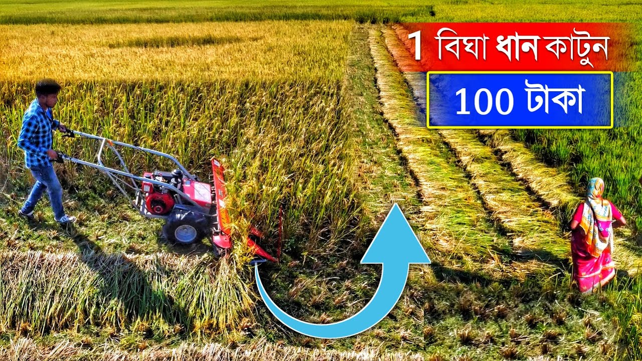 Automatic ধান কাটা মেশিন | Rice Cutter Machine | Rice Reaper Machine ...