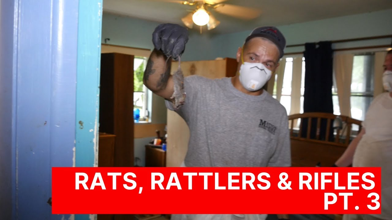 Rat Infested Hoarding Nightmare Pt. 3 | Fort Myers, FL - YouTube