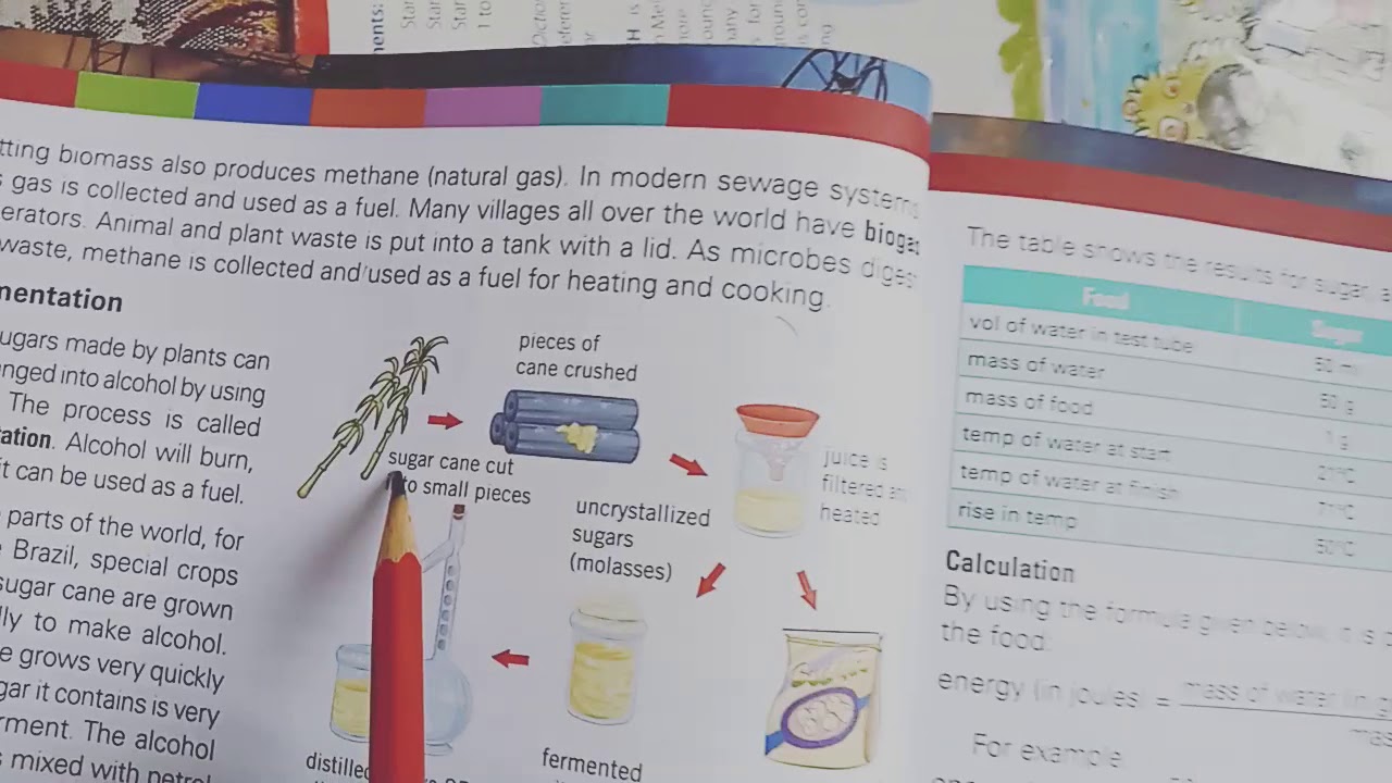 Class 6 Science (Fact File) - YouTube