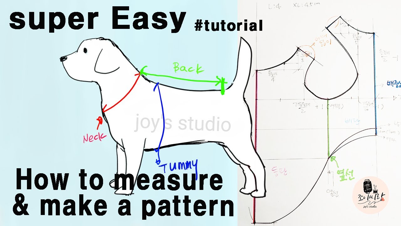 How to Measure Your Dog / How to Make a basic Pattern of a Dog for all ...