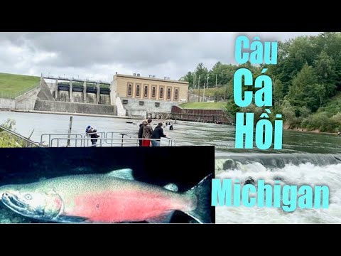 Chuyến Đi Câu Cá Hồi Miền Bắc Tiểu Bang Michigan Và Cái Kết | Cuộc Sống ...