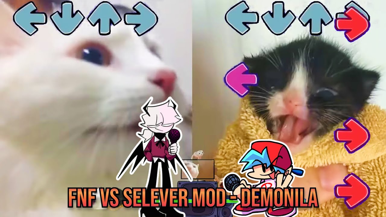 Demonila Selever BUT TURKISH CAT VS TOWEL KITTEN - FNF Animation - Mid ...