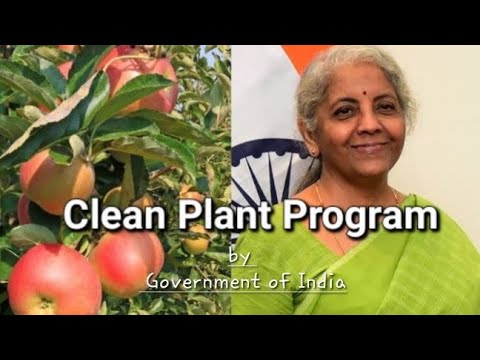 CLEAN PLANT PROGRAM || Programs and Schemes by GOI - YouTube