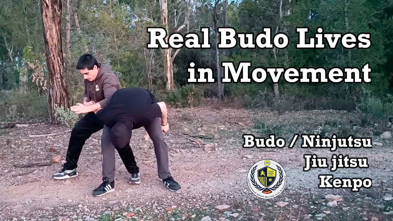 Let Budo Flow Through You. The Art of Ninjutsu, Jiu jitsu & Kenpo #budo ...