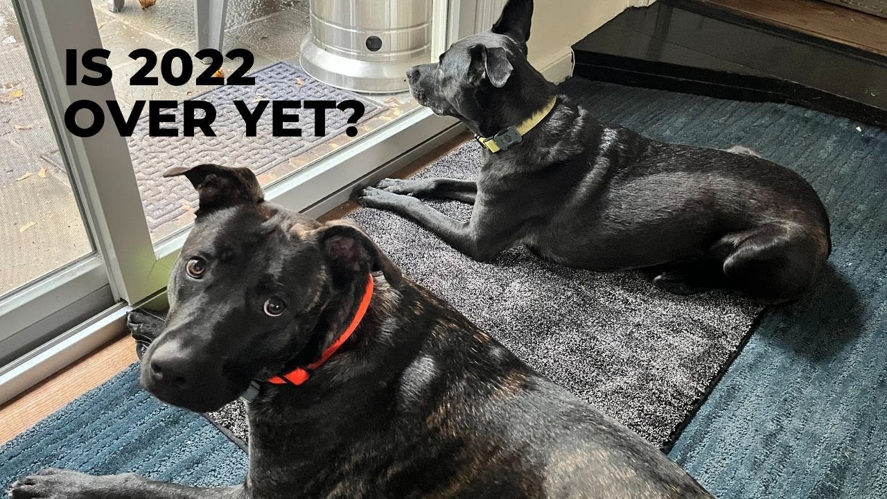Is 2022 over yet? - YouTube