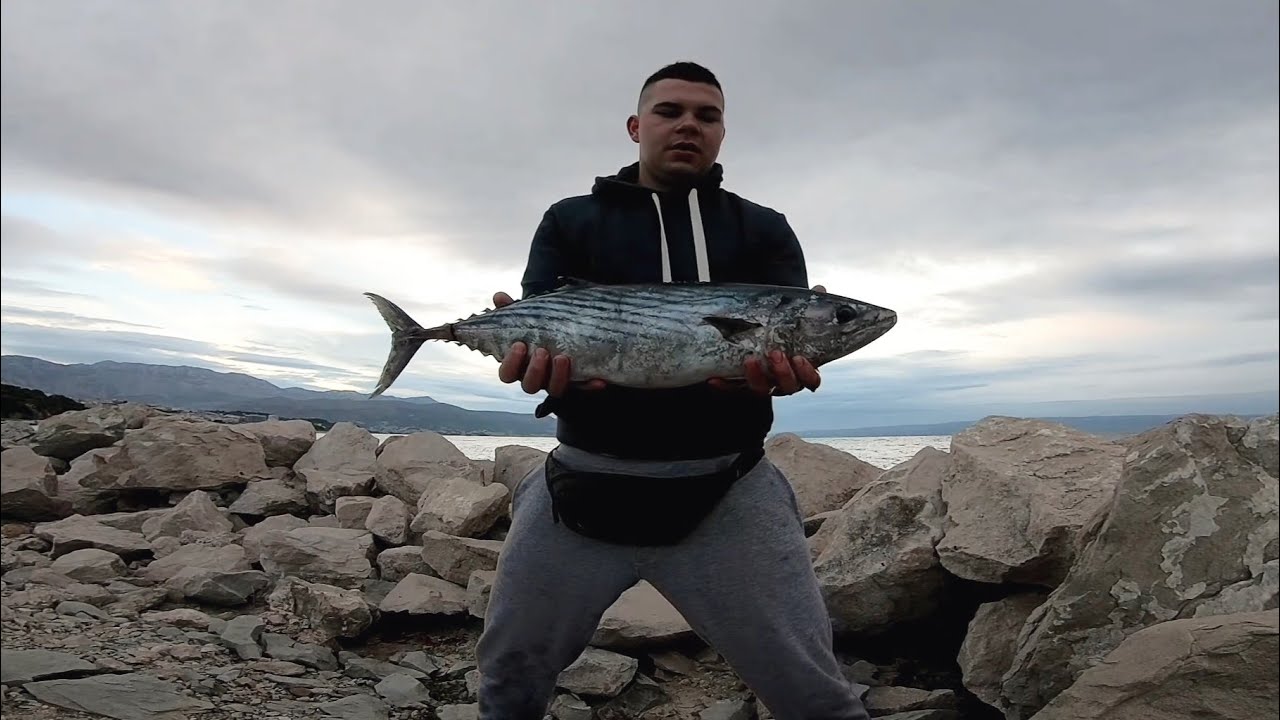 palamida split ( bonito XL) - YouTube