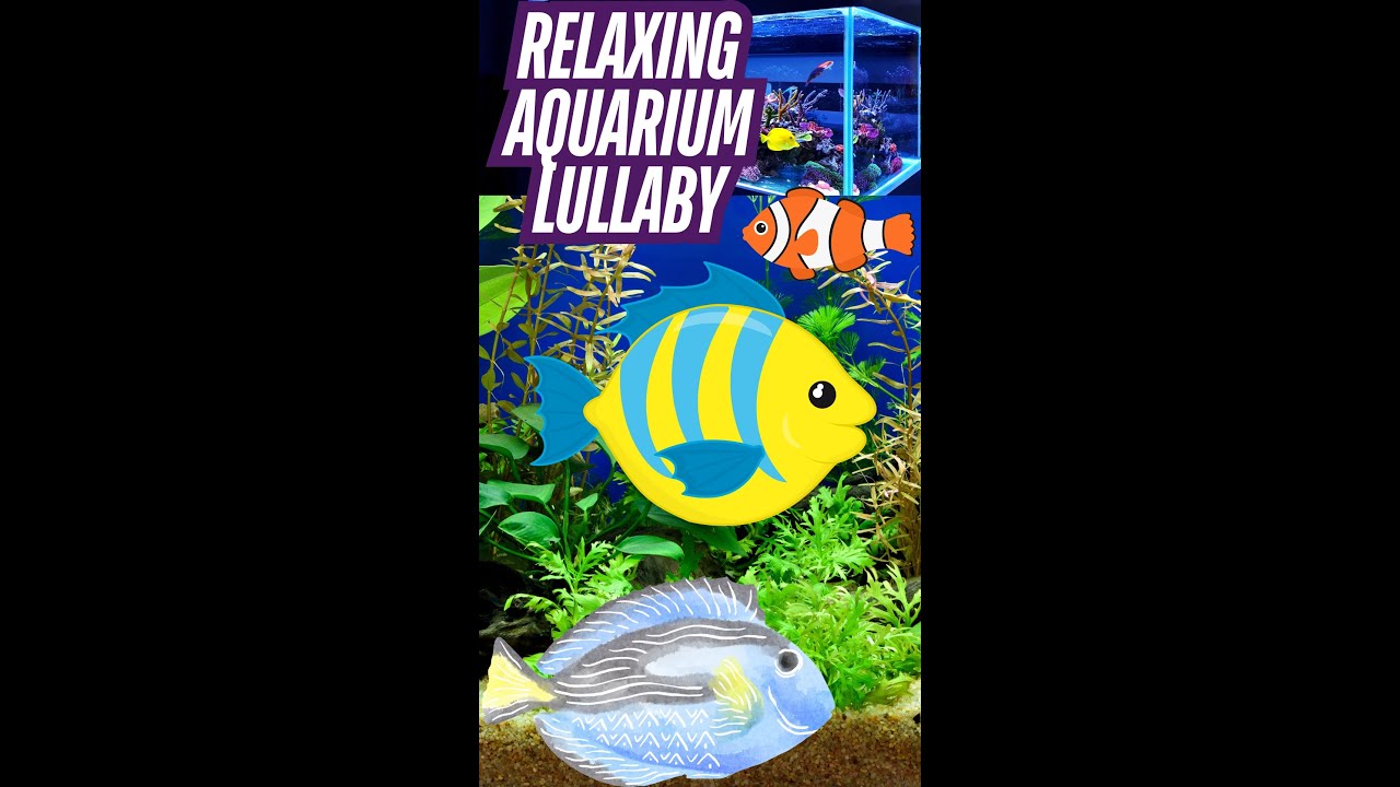 Relaxing Aquarium Lullaby | Colorful Fish for Sleep & Relaxation - YouTube