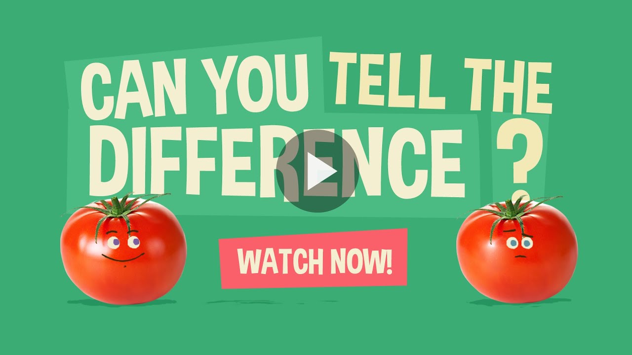 Can you tell the difference? Let us show you! - YouTube
