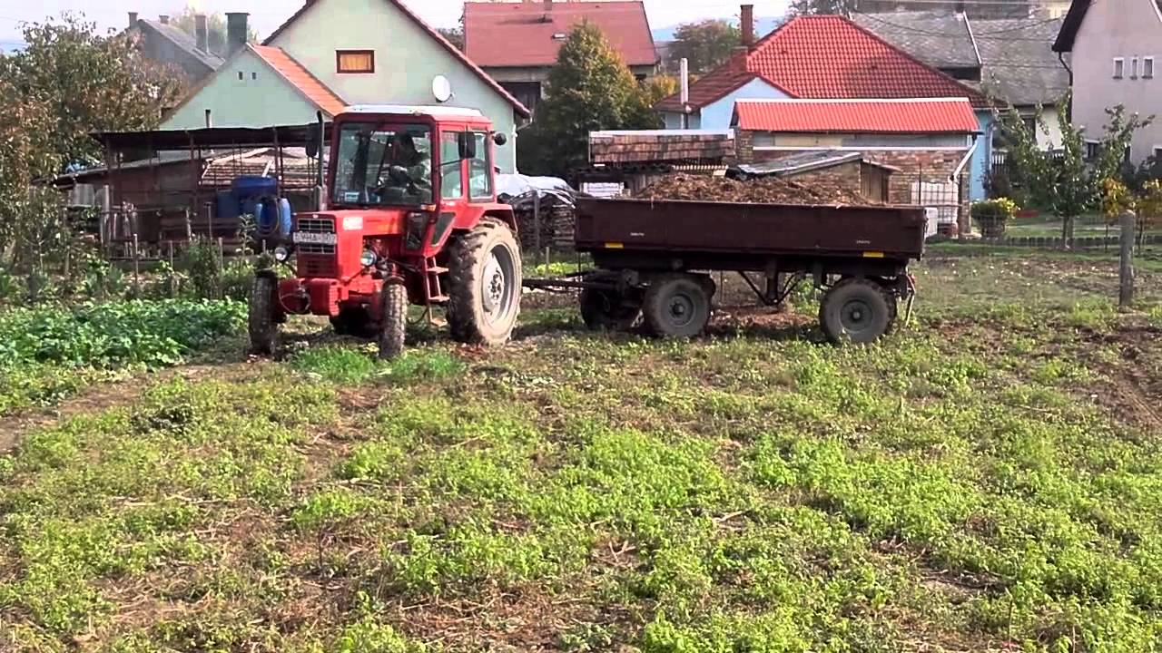 Mtz 550 Trágyahordás 2015 - YouTube