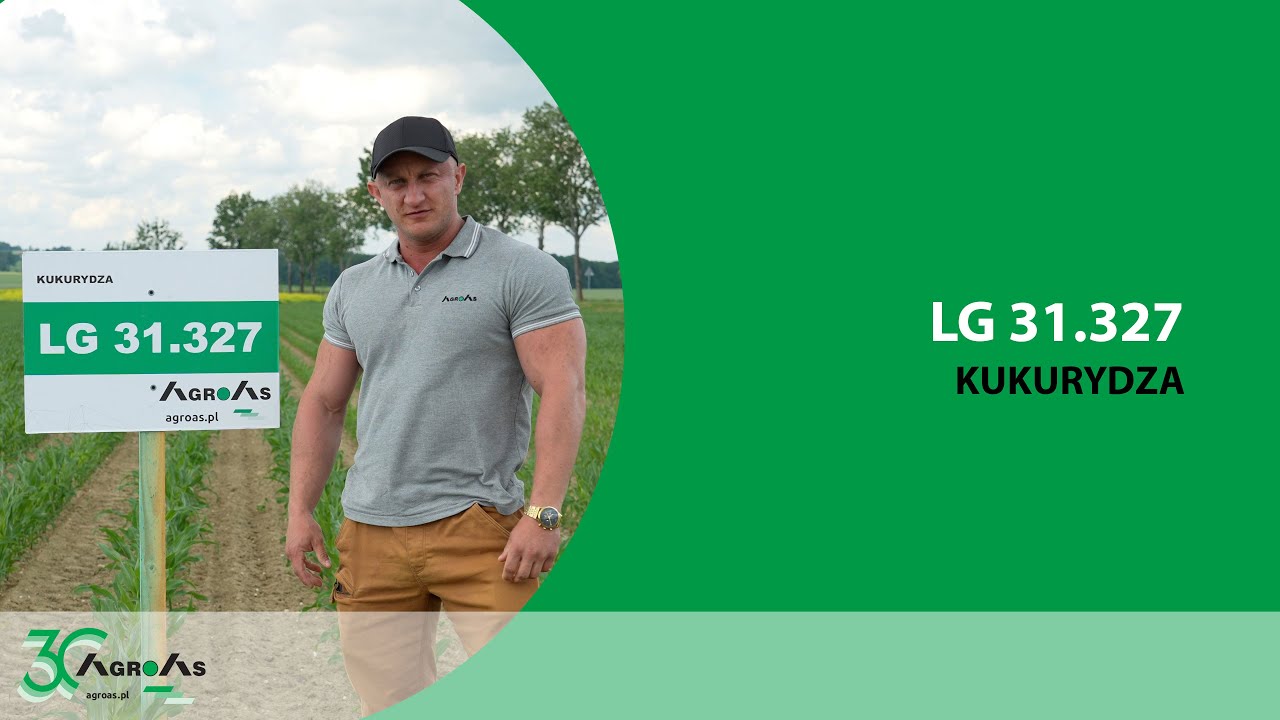 🌽 Kukurydza LG 31.327 - YouTube