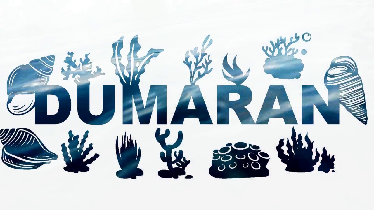 The Father of Dumaran Tourism - YouTube