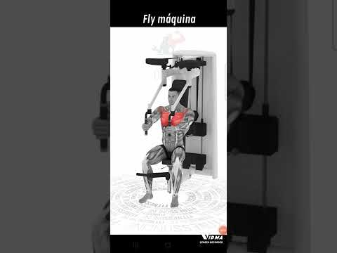 Fly máquina - YouTube