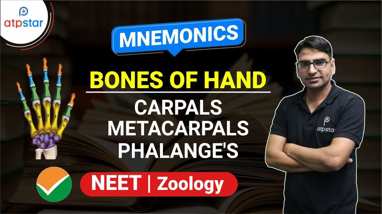 MNEMONICS To Learn Bones Of Hand | Carpal | Metacarpals | Phalange's ...