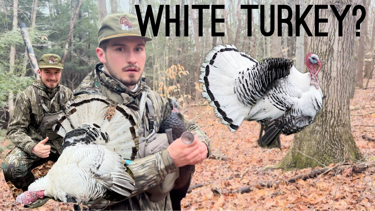 THE WHITE MICHIGAN TURKEY!?! OPENING DAY SUCCESS!! WILD? LEUCISTIC ...