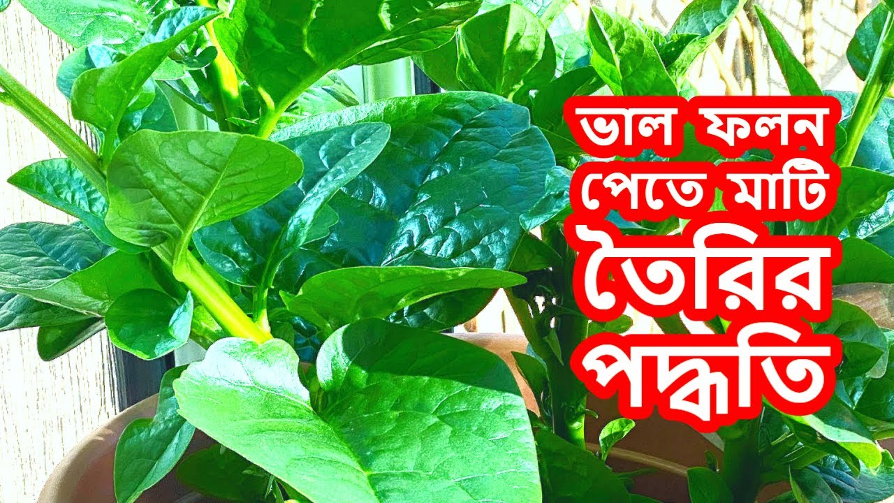 ভাল ফলন পেতে মাটি তৈরির পদ্ধতি Soil: HOW TO MAKE HOMEMADE ORGANIC ...