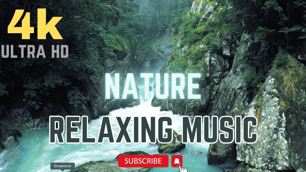 Relaxing • Calm piano music • Beautiful nature • 4K - YouTube