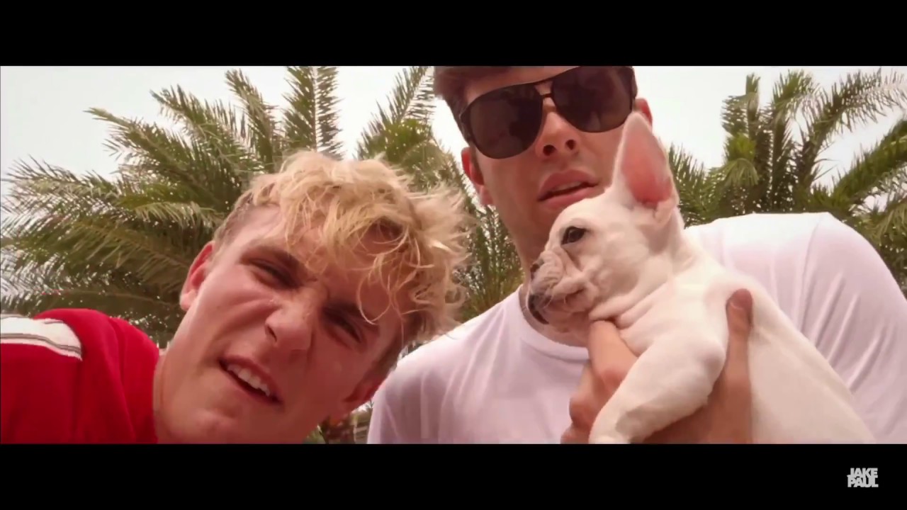 Try not to sing ( jake paul , logan paul edition) if you song YOU LOSE ...