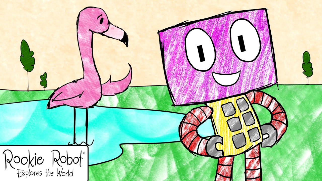 Rookie Robot🤖 | S2- EP 11 | Balance In Pink! Rookie And The Flamingo🦩 ...