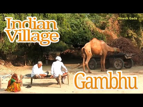 Village Life in Gujarat | Walking through the rural roads Indian villages | 4K Walking video