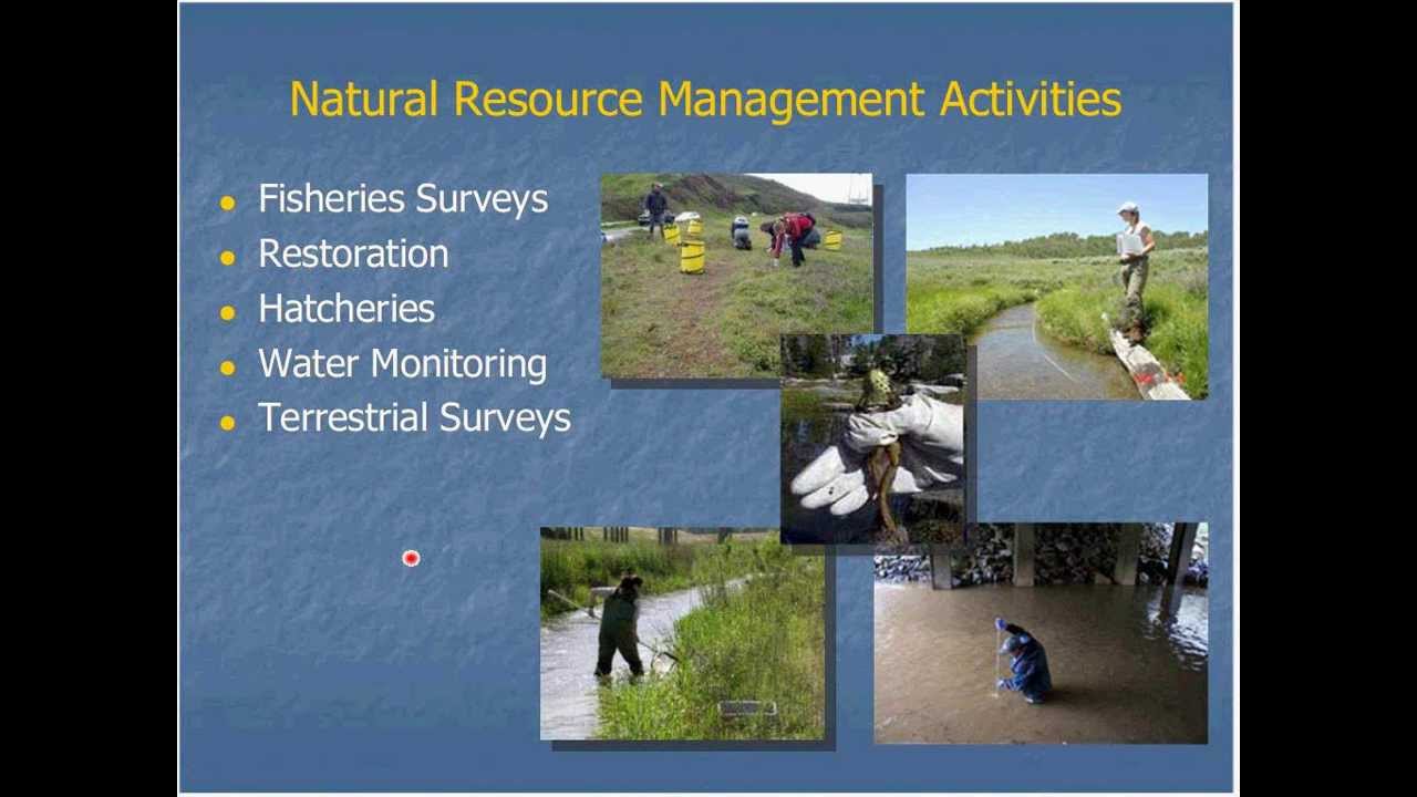 Invasive Species Risk Assessment and Planning (ISRAP) - YouTube