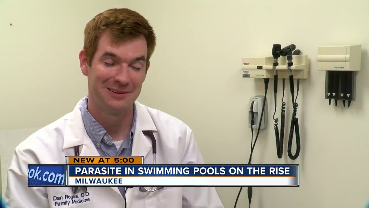 Parasite found in swimming pools on rise - YouTube