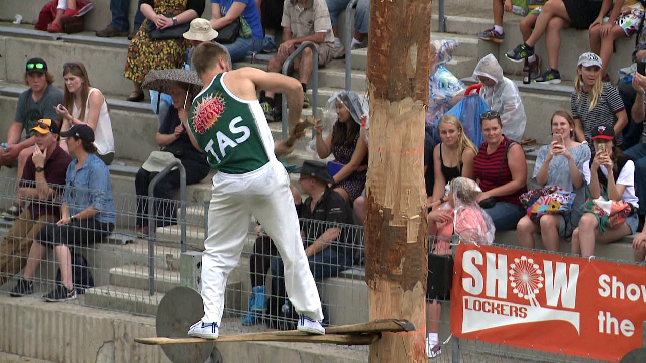 300mm Handicap Tree Felling Final - YouTube