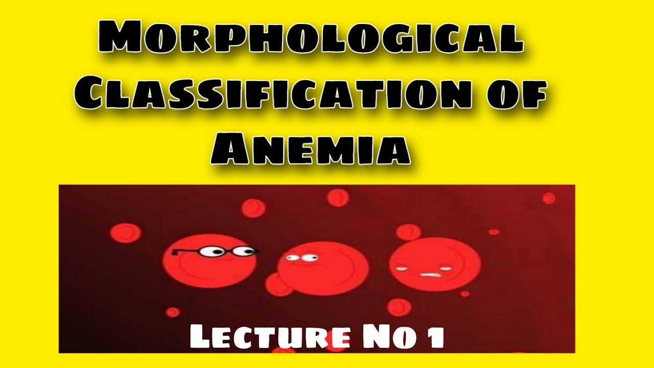 Morphological Classification of Anemia - YouTube